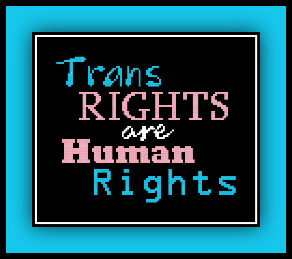 Trans Rights Cross Stitch Pattern and Understanding the Anti Trans ...